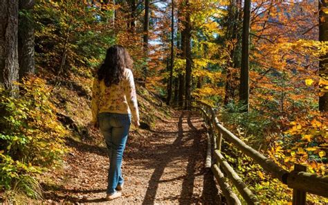 Les bienfaits insoupçonnés de la marche en pleine nature pour votre