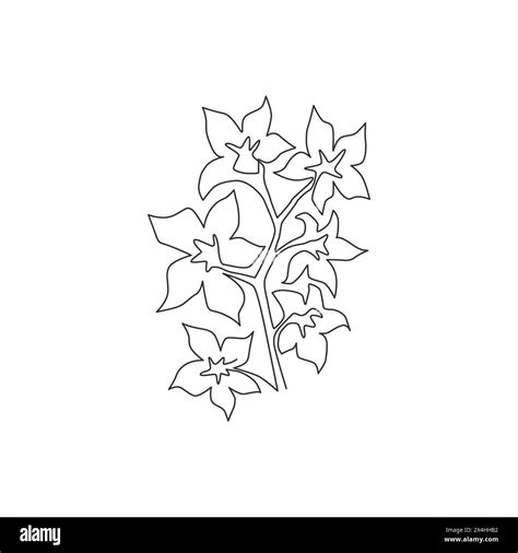 Single Continuous Line Drawing Beauty Fresh Larkspur For Home Decor