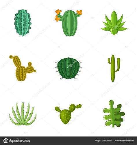 Desierto Cactus Iconos Conjunto Estilo De Dibujos Animados Vector