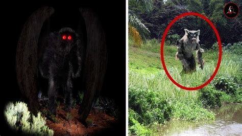 10 Criaturas Mitológicas Que Fueron Capturados Por La Cámara YouTube