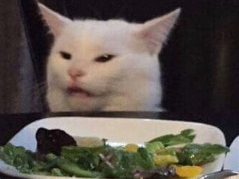De dónde salió el meme del gato en la mesa Actitudfem