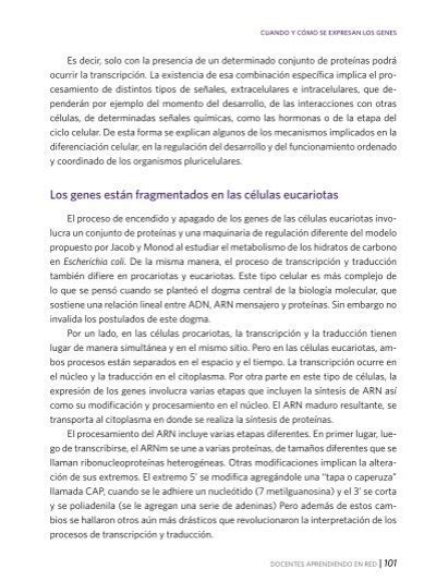 Del Gen A La Prote Na Do