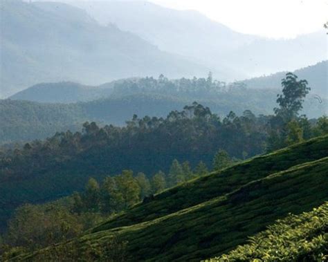 Locations Kerala Destination Holidays
