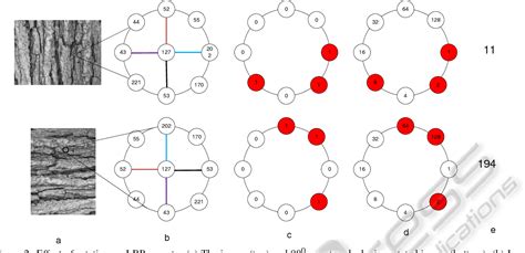 [pdf] rotated local binary pattern rlbp rotation invariant texture descriptor semantic scholar