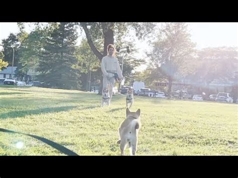 A Day At The Park Youtube