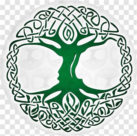 Tree Of Life Celts Symbol Celtic Knot Transparent Png