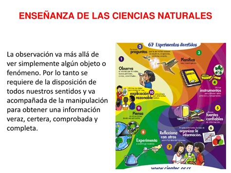 PPT ENSEÑANZA DE LAS CIENCIAS NATURALES PowerPoint Presentation free