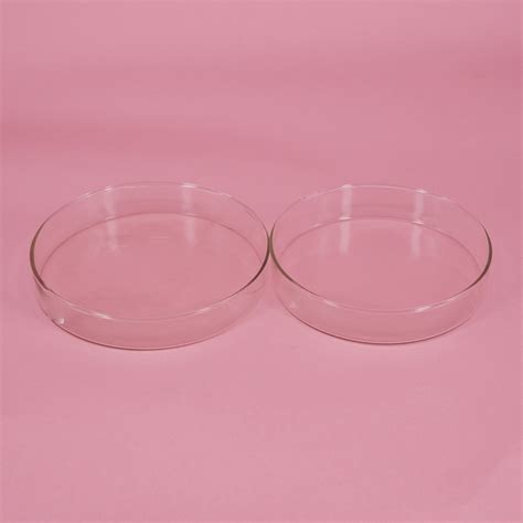 60 200mm Borosilicate Glass Petri Culture Dish With Lids For Lab