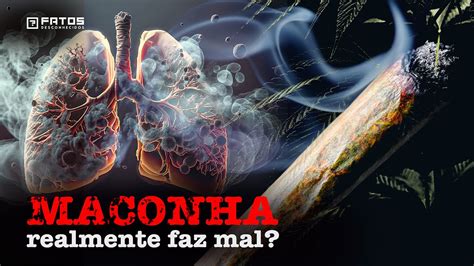 O que acontece seu corpo quando você fuma maconha MeioClick News