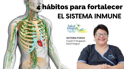 H Bitos Para Fortalecer El Sistema Inmune Youtube