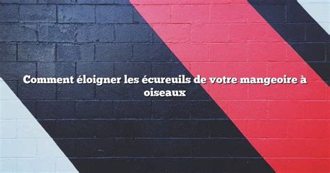 Comment éloigner les écureuils de votre mangeoire à oiseaux