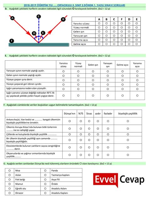 5 Sınıf Fen Bilimleri 2 Dönem 1 Yazılı Soruları 2018 2019