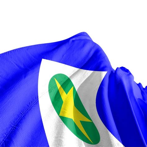 Bandeira Mato Grosso Rei Das Arts