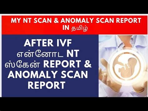 After Ivf My NT Scan Anomaly Scan Report In Tamil