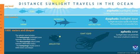Qual a diferença entre mar e oceano