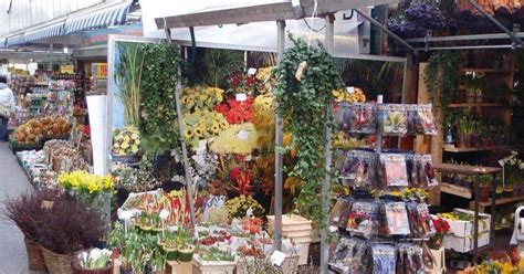 Flower Market Amsterdam