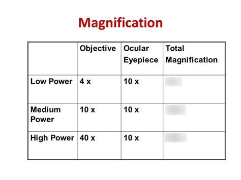 How To Calculate Total Magnification Nylaedgaras