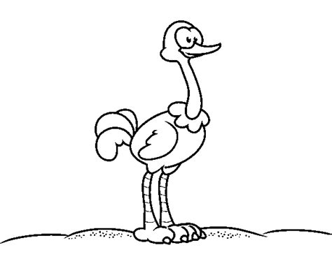 Dibujo De Un Avestruz Para Colorear Dibujos Net