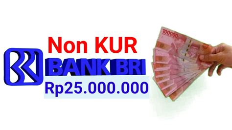 Panduan Lengkap Cara Pinjam Uang Di BRI Non KUR Hanya Lewat Aplikasi