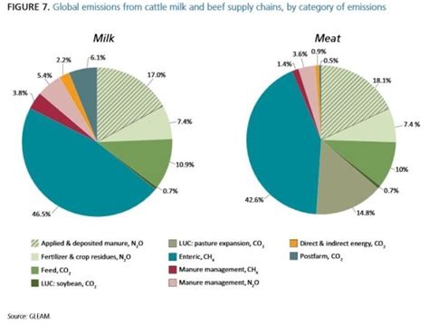 Rapport Fao sur limpact de lélevage sur les émissions de gaz à effet de s
