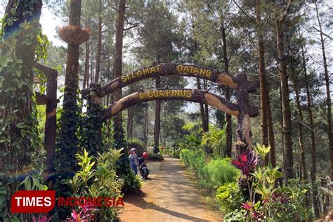 Wisata Goa Pinus Hadirkan Ketenangan Hati Pengunjung TIMES Indonesia