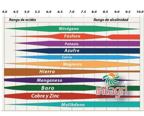 Manejo y Corrección de la Acidez de los Suelos Intagri S C