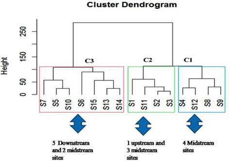 Dendrogram Highlighting Site Wise Clusters On The Basis Of