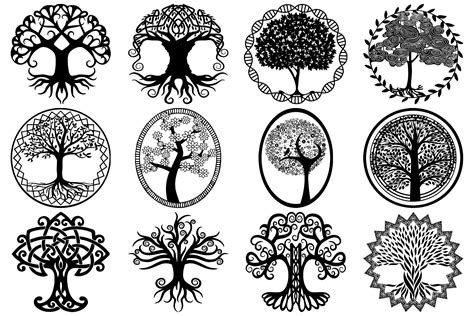 Tree Of Life Silhouettes Ai Eps Vector Png Illustrations