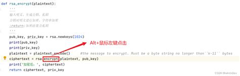 【python小工具】爬虫之破解rsa加密详解 python rsa加密 反爬 csdn博客
