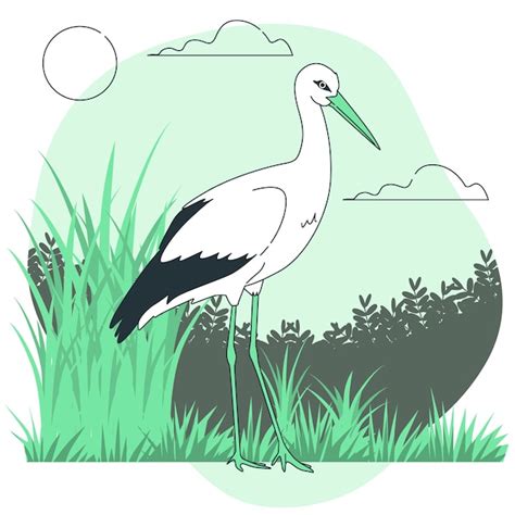 Ilustracja Polowy Ciala Zdjęcia darmowe pobieranie na Freepik