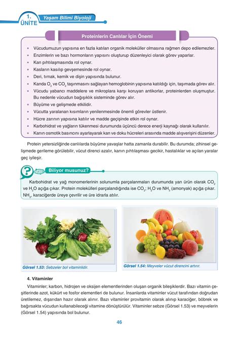 9 Sınıf Biyoloji Ders Kitabı Tutku Yayınları Sayfa 46 Cevapları