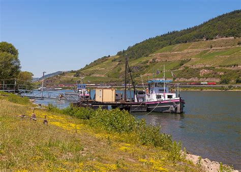 Frühling 2022 im Mittelrheintal bei Lorch im Rheingau mit Flickr