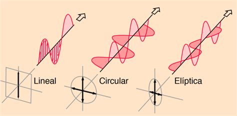 Polarización de ondas electromagnéticas Fisicotrónica