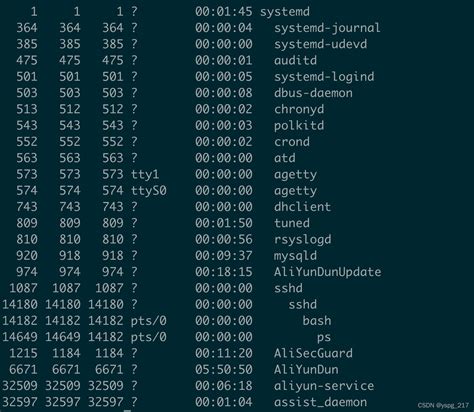 linux 命令：ps 详解 linux ps csdn博客