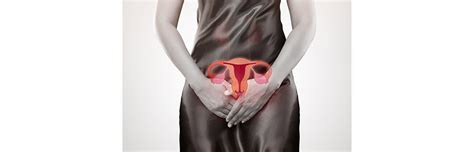 Sabe O Que Descolamento Ovular Te Explicamos