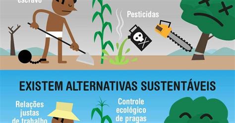 BIBOCA AMBIENTAL SAIBA O QUE É E COMO FUNCIONA UM SISTEMA AGROFLORESTAL