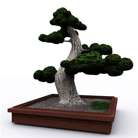 D Bonsai Tree Turbosquid