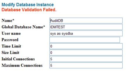 oci failed to begin session error while creating db instance for db auditing in oracle access