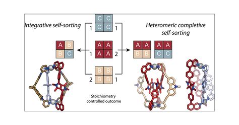 Heteromeric Completive Self Sorting In Coordination Cage Systems