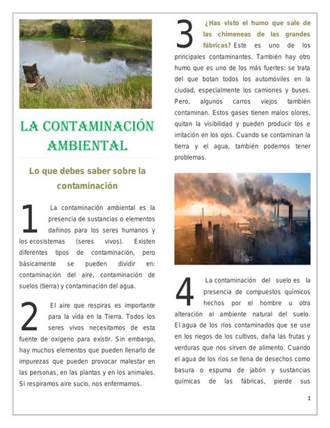 Contaminación ambiental by Flipsnack