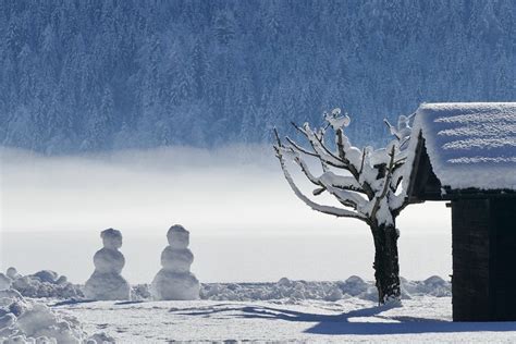 Vinter Snö Kall Gratis foto på Pixabay Pixabay