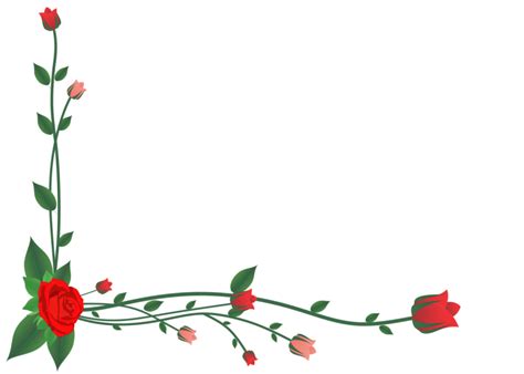 Flowers Borders Full Clarity Png Visuals