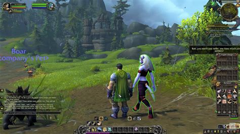 World Of Warcraft PC Gameplay 1080p60fps YouTube