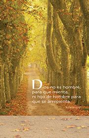 Spanish Bulletins For October November December