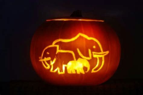Elephant Carved Pumpkin Easy Pumpkin Carving Pumpkin Carving Cute