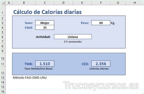 C Lculo De Calor As Diarias En Excel Calculadora Calorias Diario