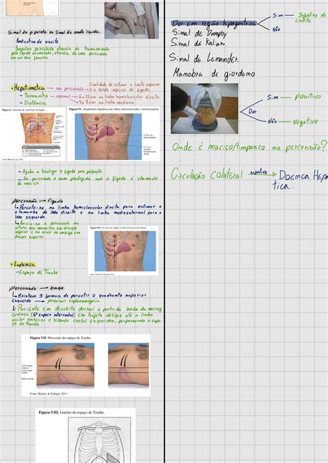 SOLUTION Exame F Sico Abdominal Semiologia Studypool