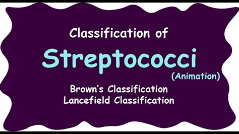 Streptococci Lancefield Classification Of Streptococci