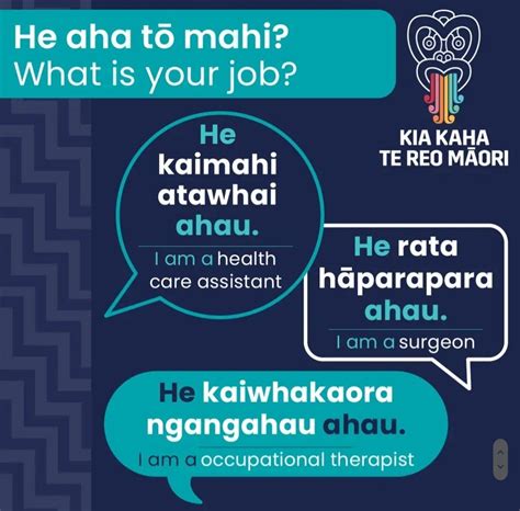 Te Reo Maori Resources Teaching Health Care Assistant Occupational
