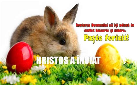 Felicitari Mesaje Si Sms De Paste Cele Mai Frumoase Texte Si Imagini
